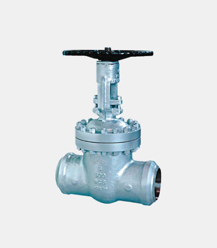 Válvula de Compuerta API 600 | VTS Suppliers