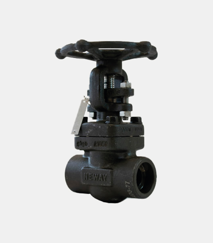 Válvula de Compuerta API 602 | VTS Suppliers